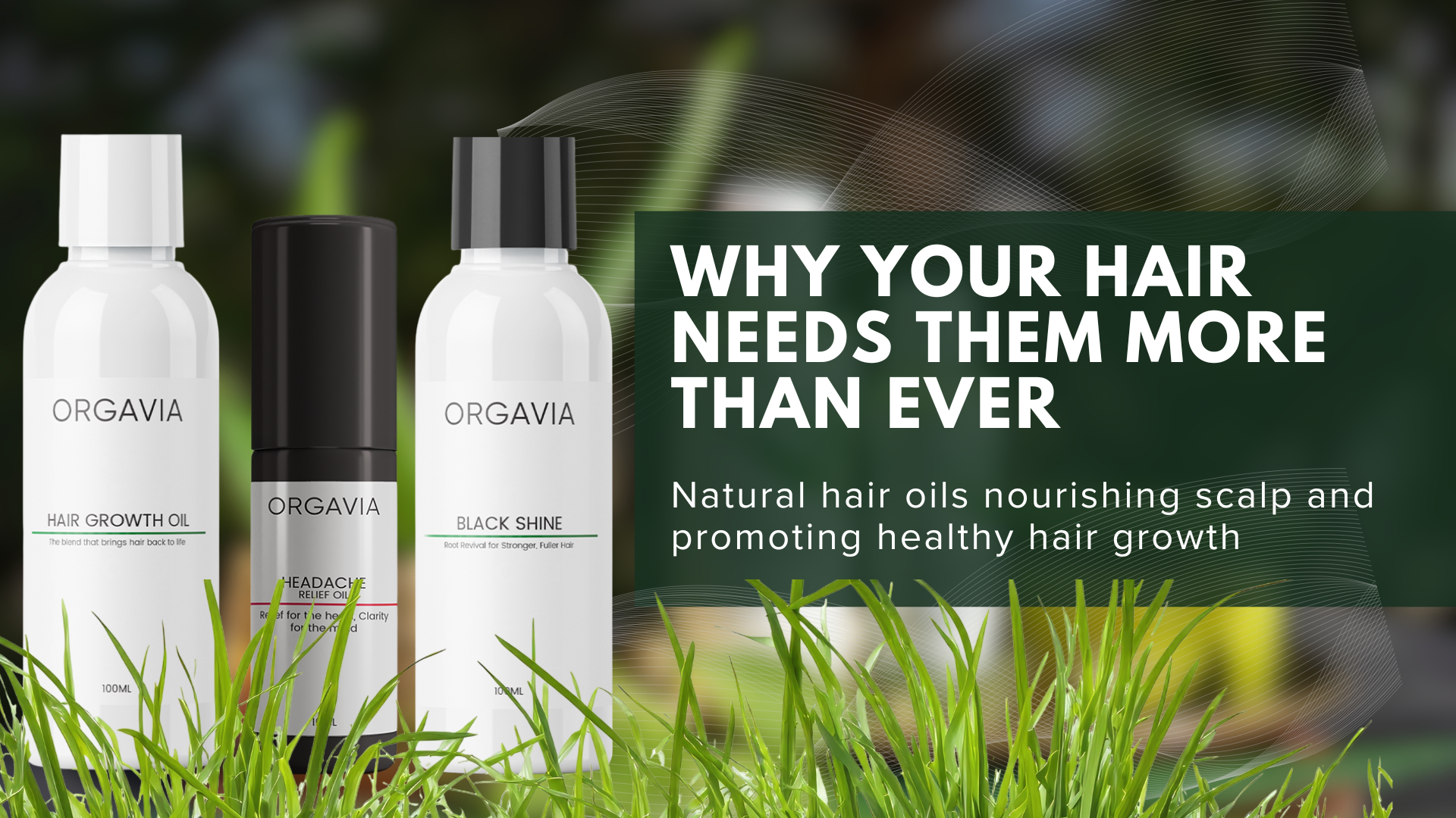 Benefits of Natural Hair Oils for Strong & Healthy Hair - Orgavia Official